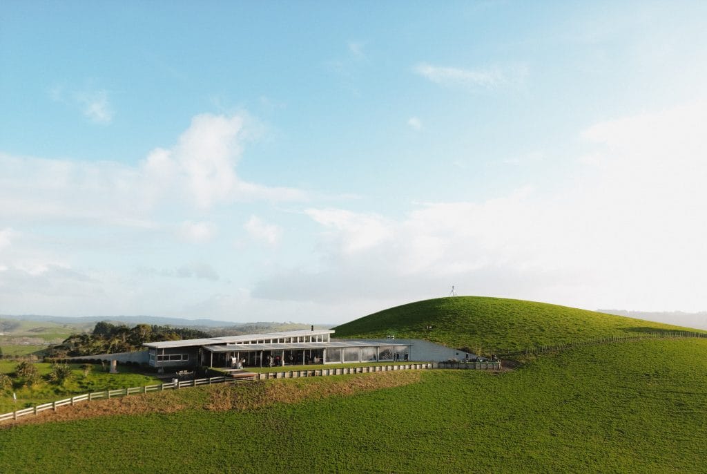 Kauri Bay - Corporate Challenge Events NZ